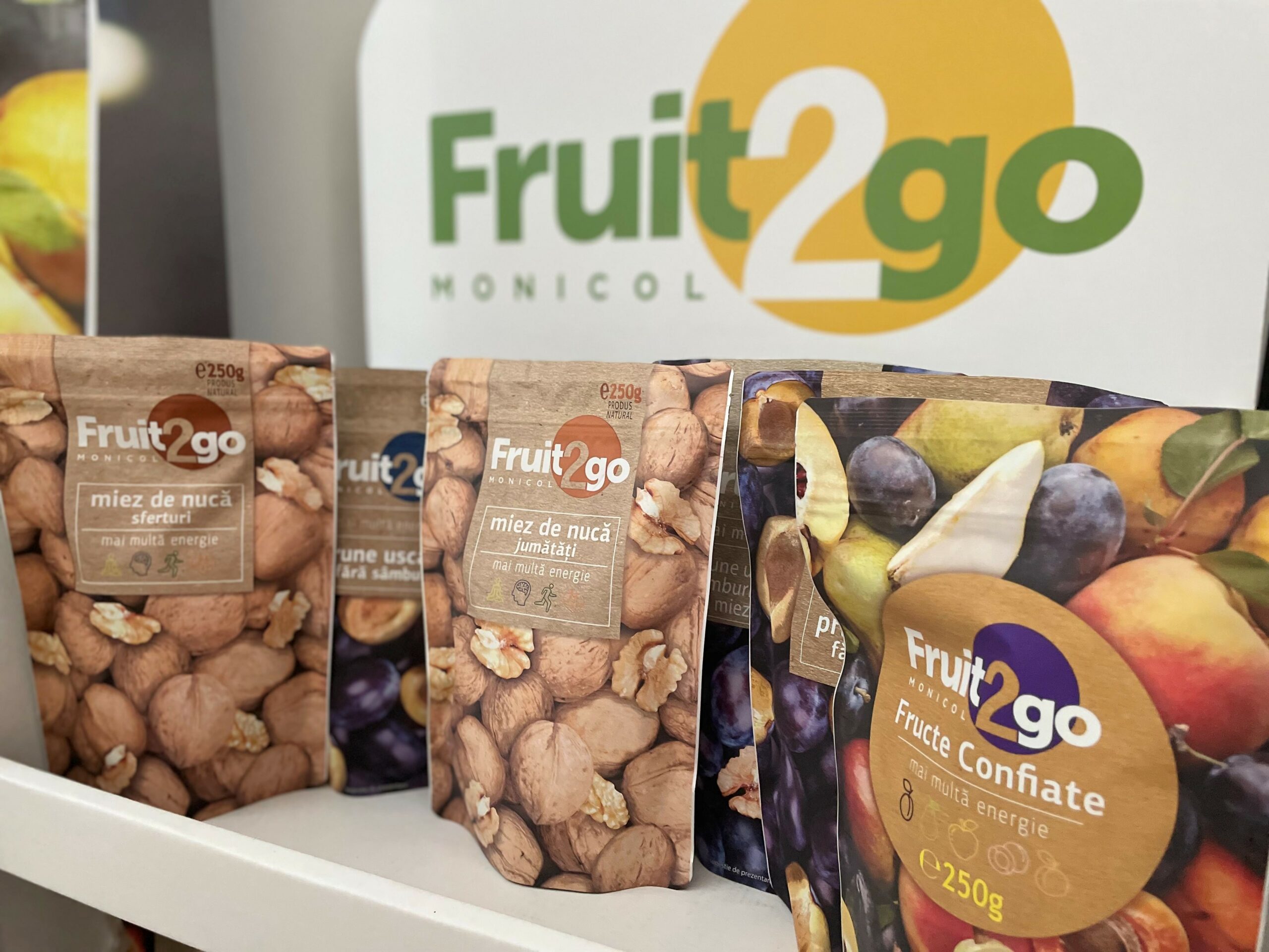 RECP in action – how Moldovan companies “Monicol” and “Arama R” pave ...