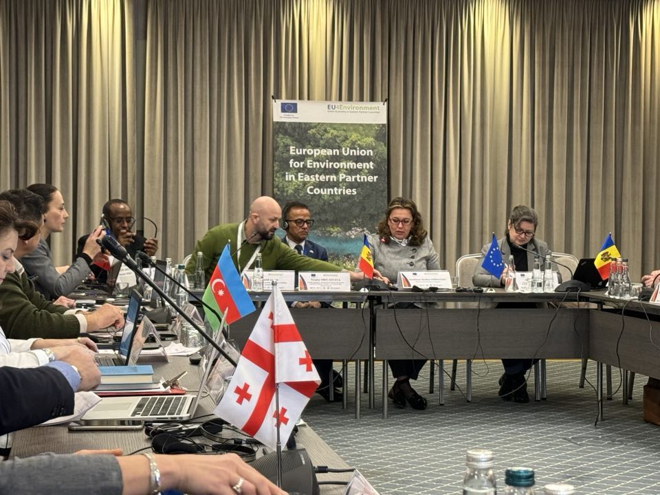 International Day of Forests - EU4Environment achievements in ...