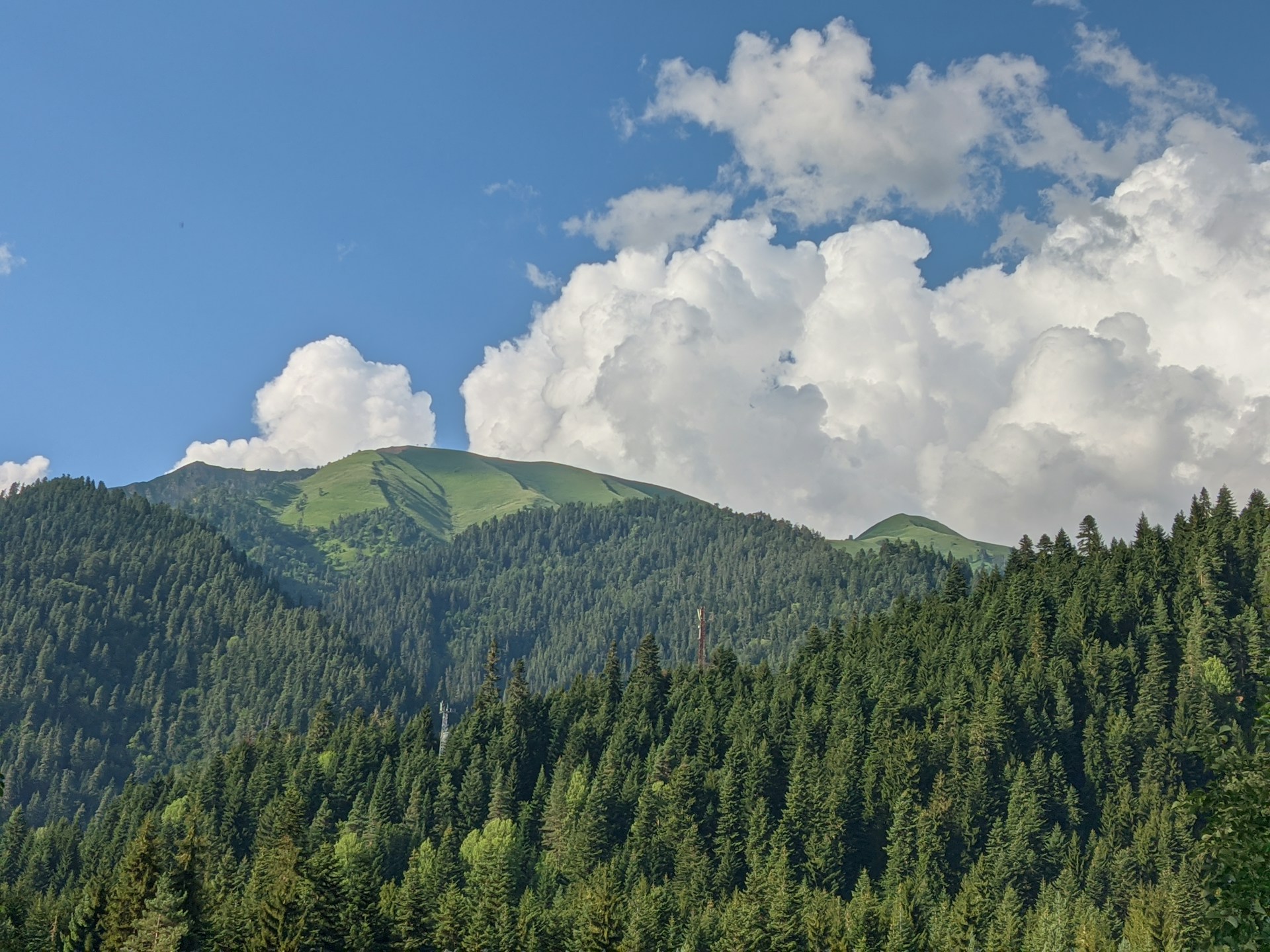 Safeguarding forest resources in Georgia - EU4ENVIRONMENT